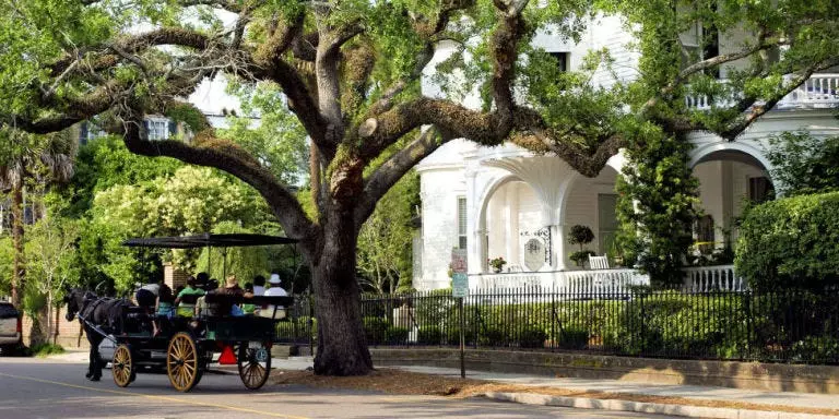 Pangalan ng Paglalakbay + Paglilibang Charleston ang Pinakamagandang Lungsod sa Mundo - Mga Larawan ng Charleston