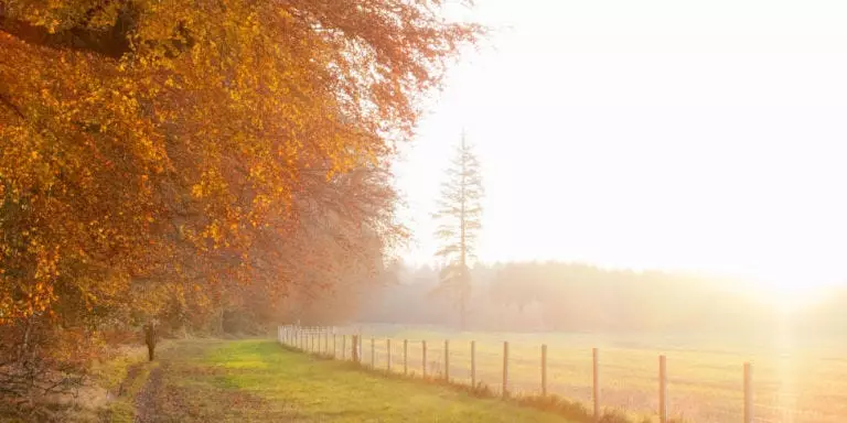 15 atemberaubend surreale Herbstpfade - Wunderschöne Herbstfotos