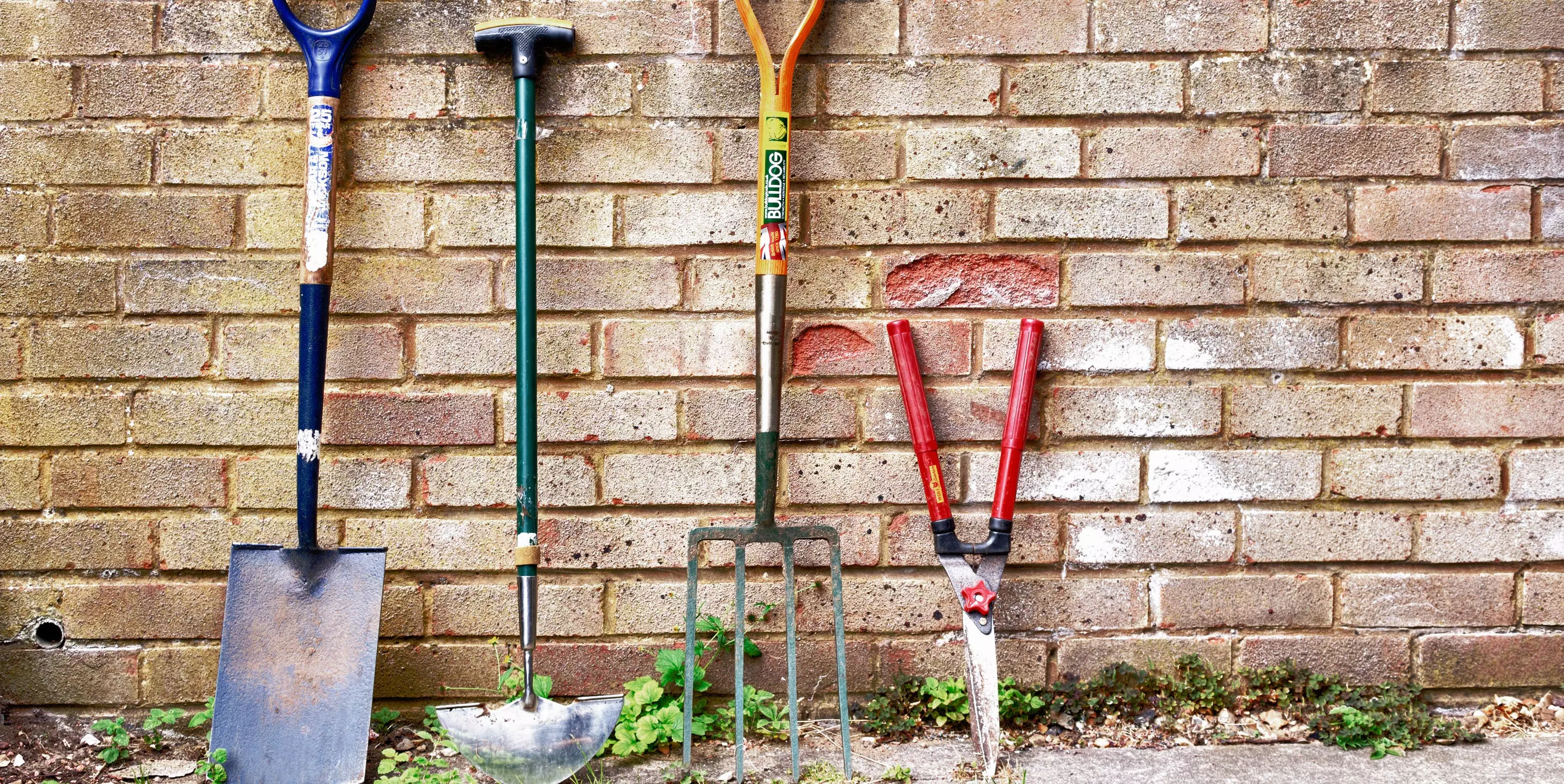 Mark Lane's 9 Best Garden Tools Para sa Mas Madaling Paghahalaman